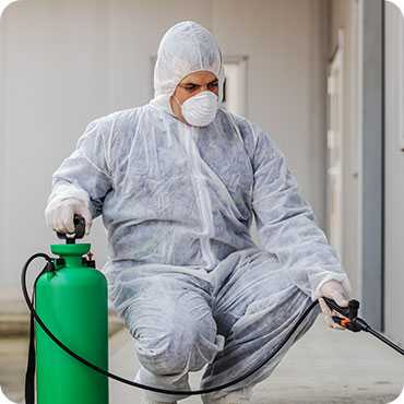 Contact Us – crownpestcontrolaruba